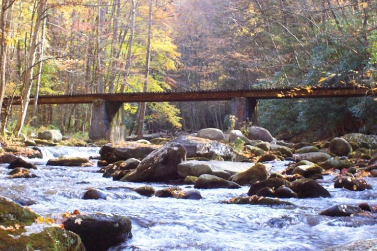 East Prong Little River - Backcountry - Fightmaster Fly Fishing