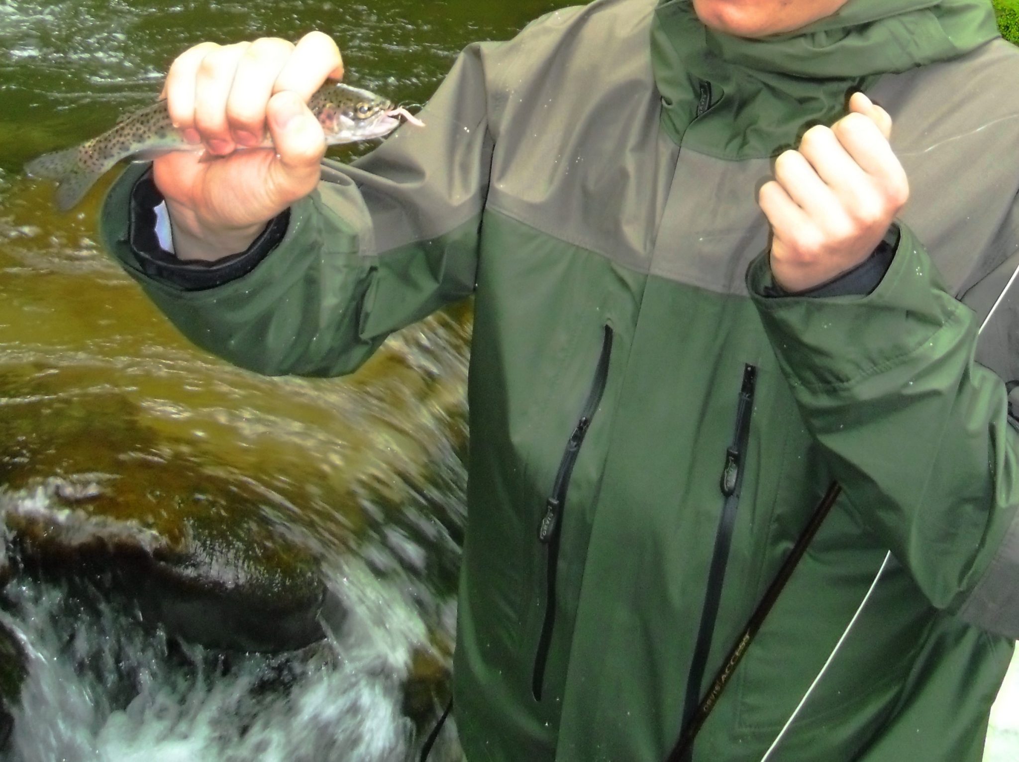 Landing and Handling Trout - Fightmaster Fly Fishing