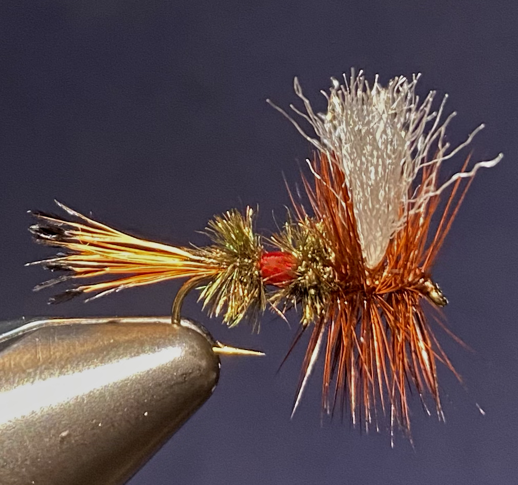 The Royal Coachman - Fightmaster Fly Fishing The Royal Coachman